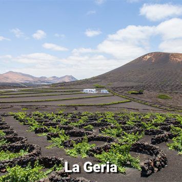 La Geria - Excursions in Lanzarote | Excursions Tickets Direct